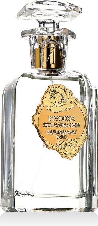 Houbigant Jimmy Choo Acqua Man Edt 100 ml - Pirates des Prix